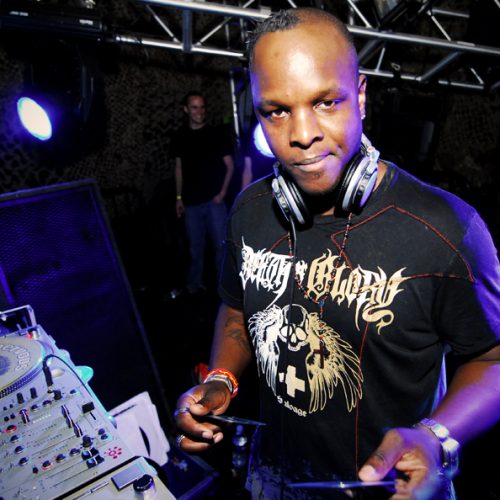 Jungle Artists | Junglist Network